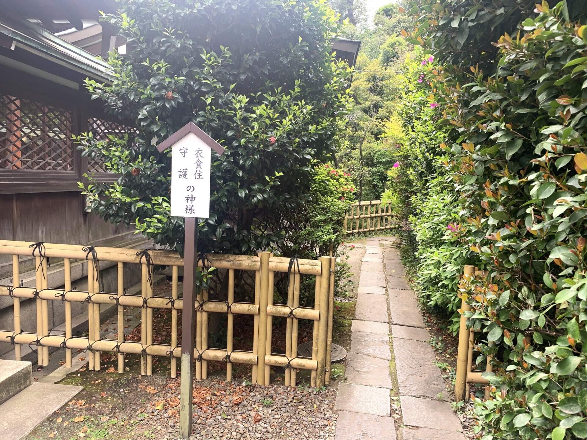 猫好きは参拝マスト！ お猫様も迎えてくれる港区で最も古い白金氷川神社 - いざまち